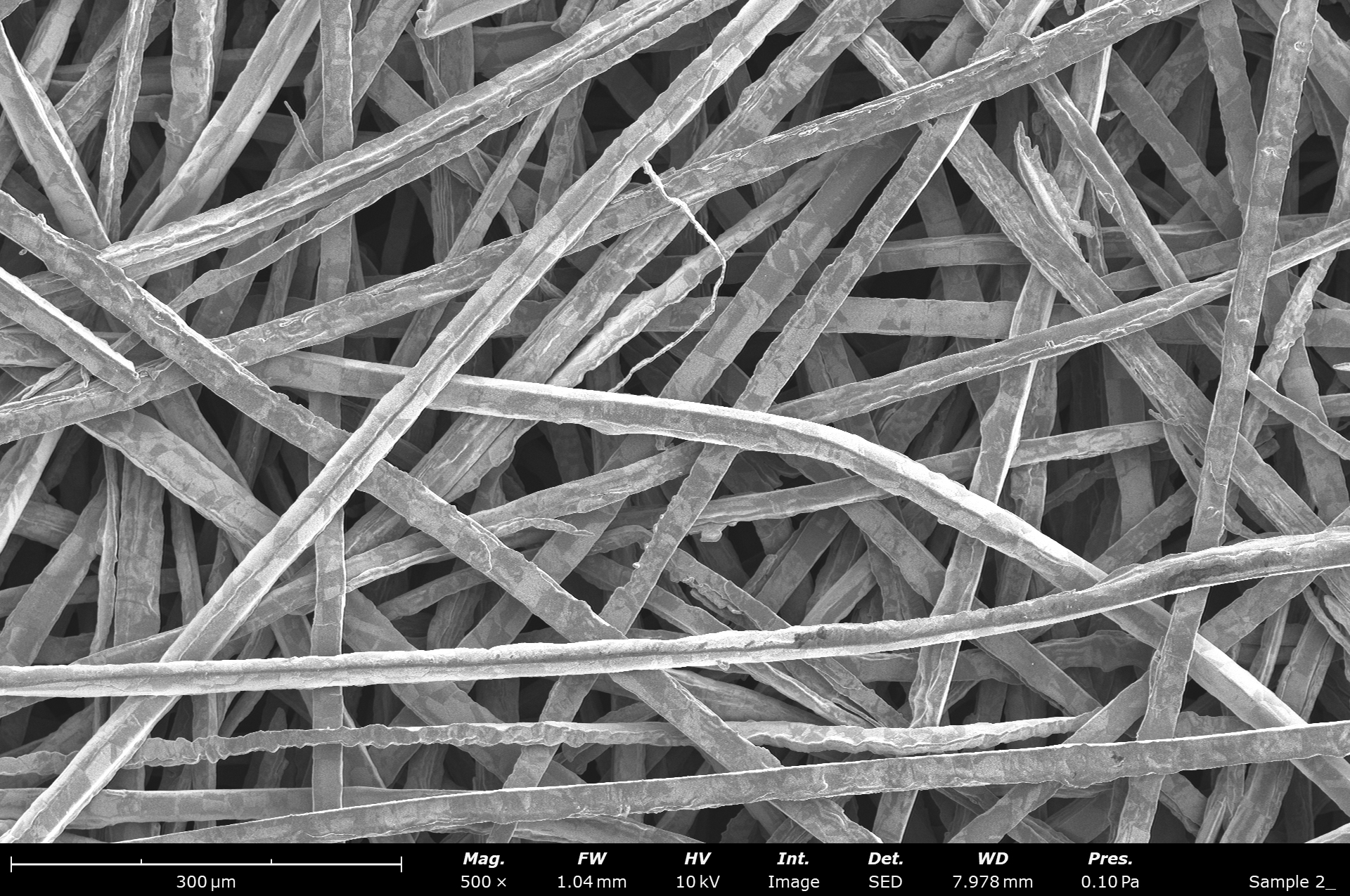 Actualités - Electron Microscopes