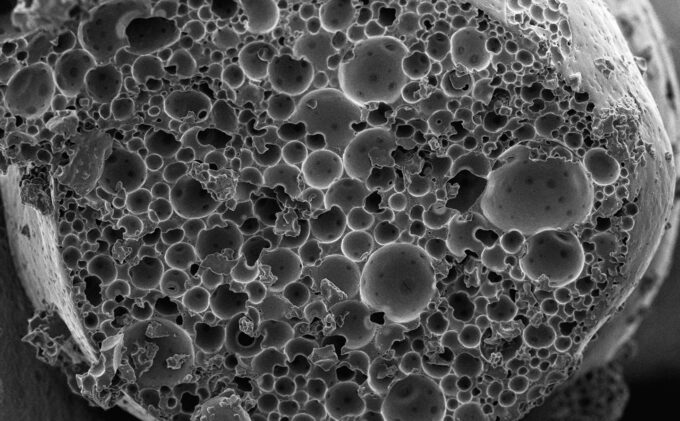 Pores Electron Microscopes